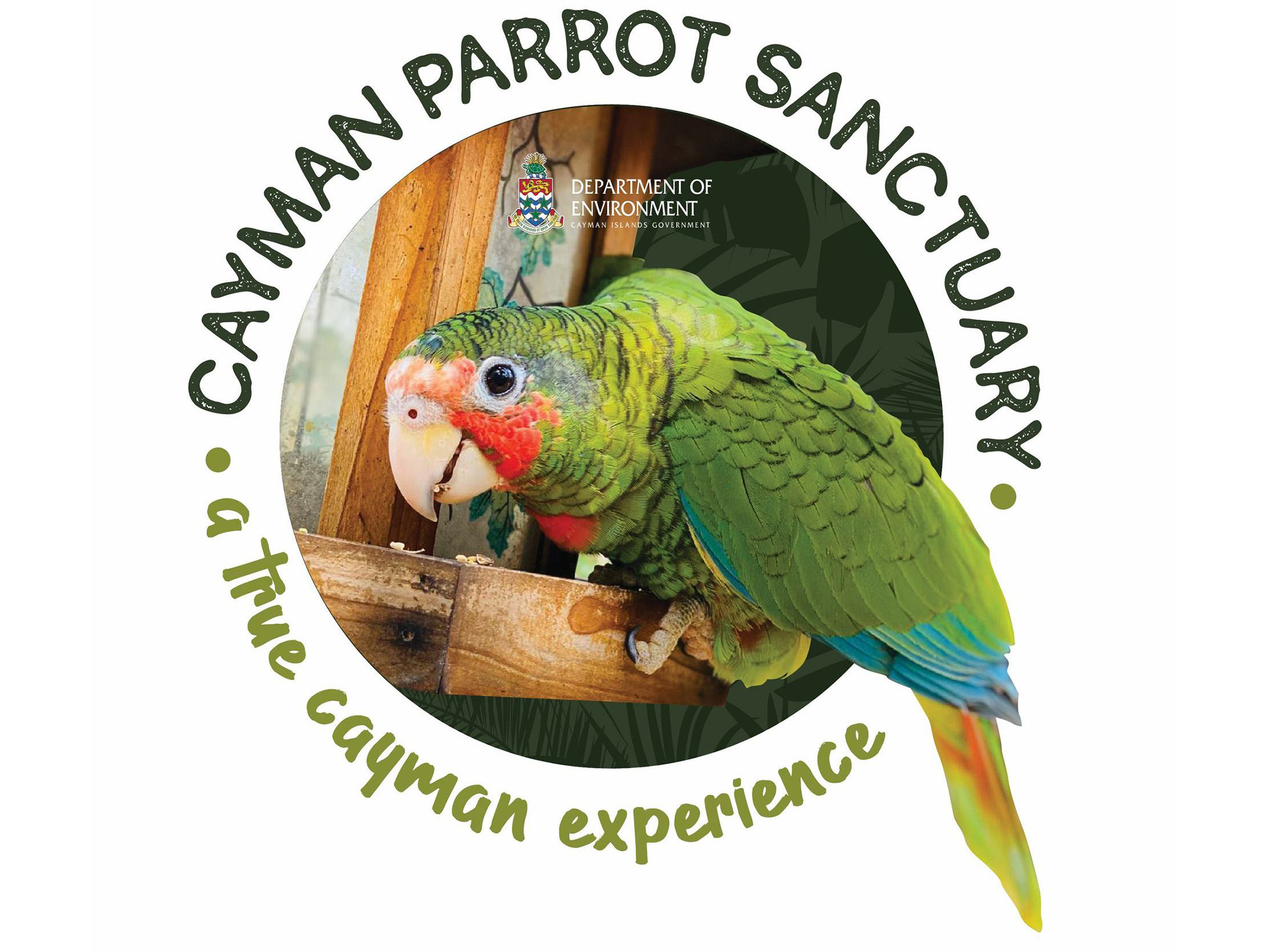 Cayman Parrot Sanctuary Tour I Cayman Visitor