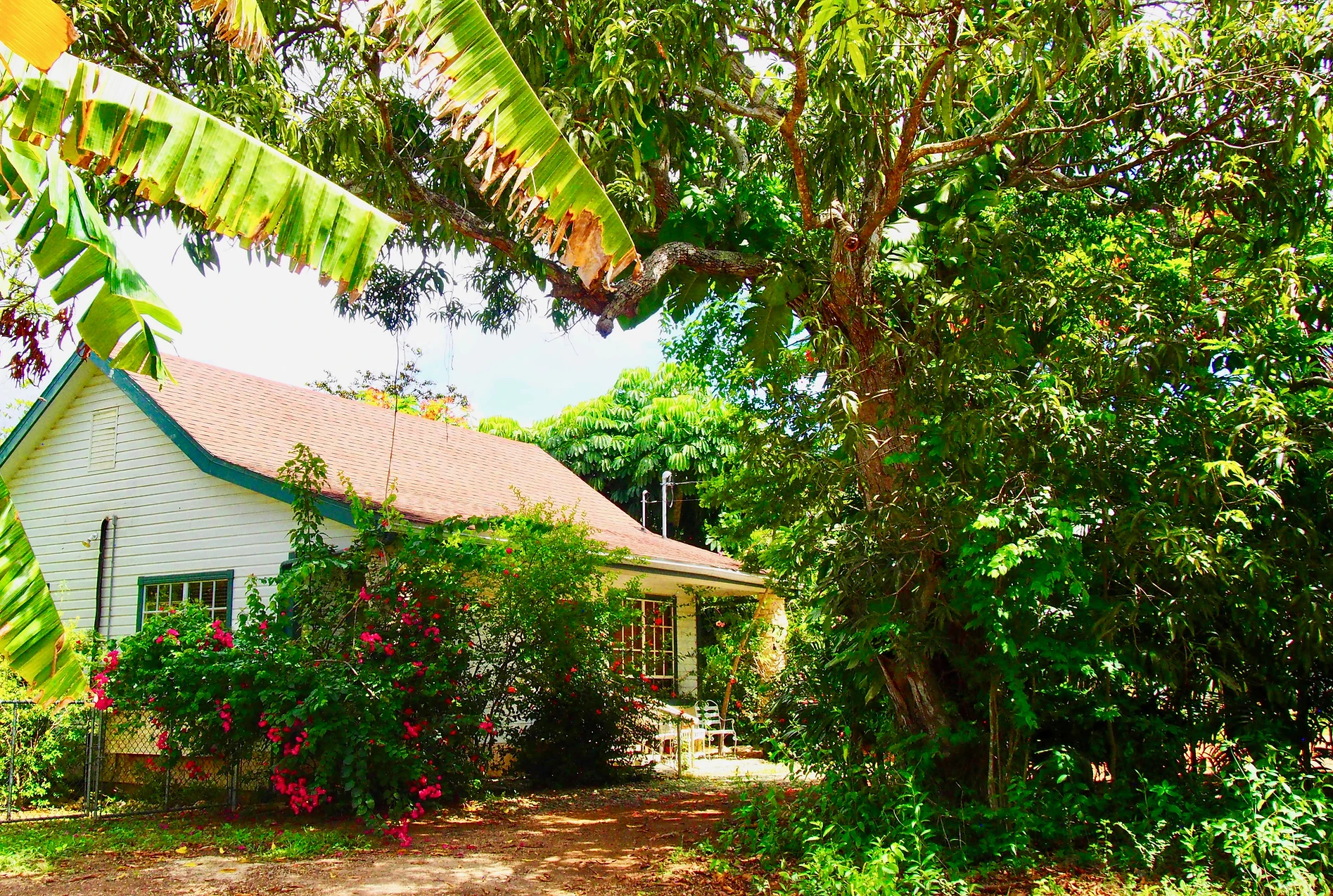 Beacon Farm Tour - Caymanvisitor